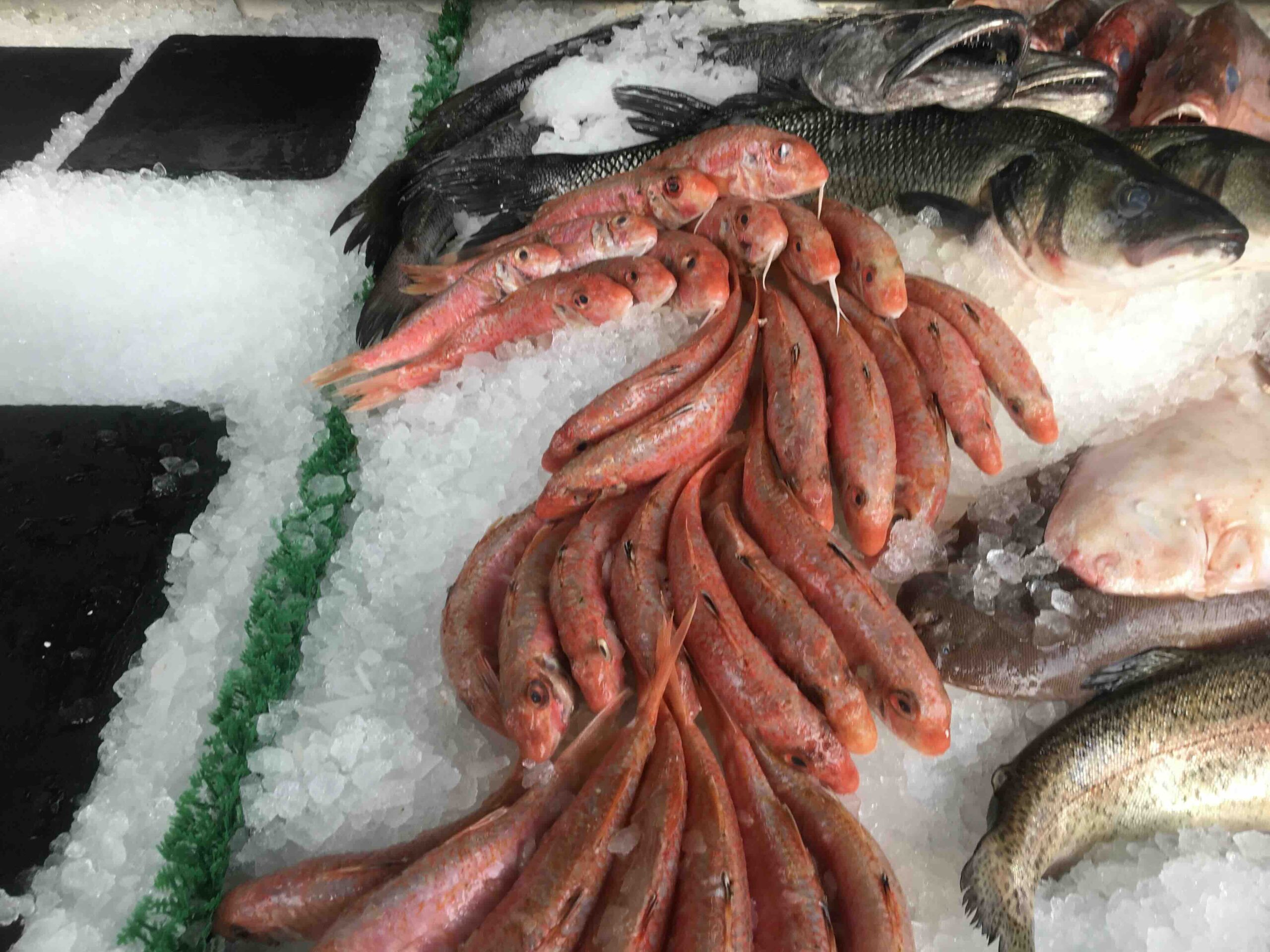 About Wheeler's Traditional Fishmonger | Proudly Serving Locally Since 2025